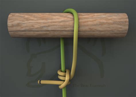 How To Tie The Taut Line Hitch The Bear Essentials Outdoors Co