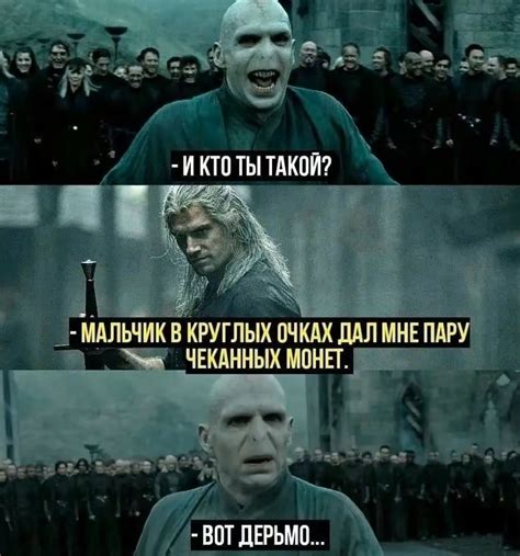 Геральт из Ривии Witcher Персонажи Волан де Морт Гарри Потер The Witcher Ведьмак