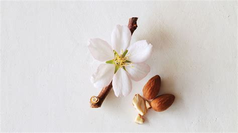 Home Tranquil Touch Spa Fort Wayne In