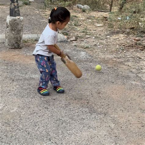 ali shaik on linkedin databaseadministration ipl cricket teamwork stats bestpractices