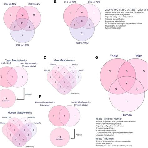 Metabolite Set Enrichment Analysis And Common Pathways Altered Figure Download Scientific