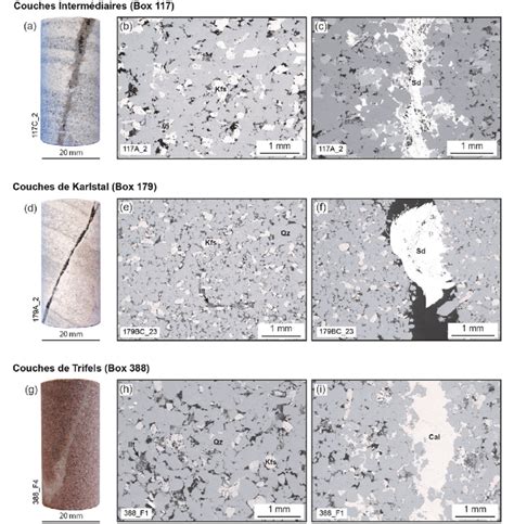 Pre Deformation Microstructure Photographs Of Samples Prior To