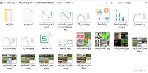 基于yolov8深度学习的水稻害虫检测与识别系统【python源码pyqt5界面数据集训练代码】目标检测、深度学习实战yolov8 农