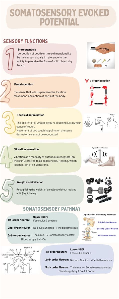 Ionm Surgery Neuromonitoring Intraoperative Surgery Ain Neuroscience Patient Education