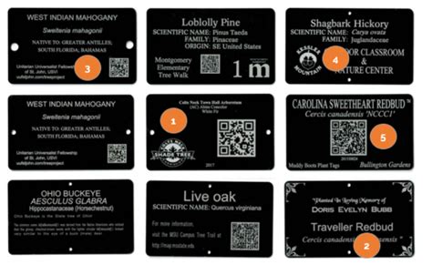 Steps For Designing Custom Tree Tags For Labeling Trees National Band And Tag Company