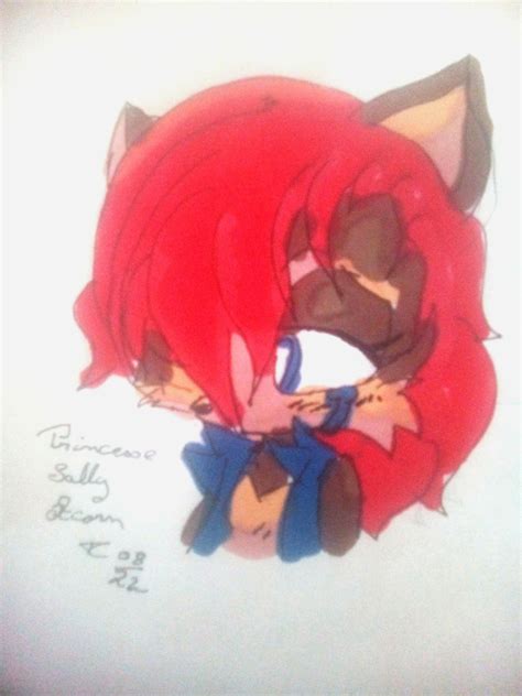 Princess Sally Acorn 3 By Soni1300 On Deviantart