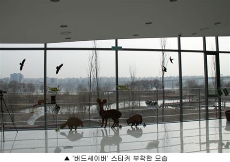 한강 조류 유리창 충돌 방지위해 버드세이버 스티커 부착 환경법률신문