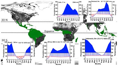 Factors Affecting Cambial Growth Periodicity And Wood Formation In Tropical Forest Trees A Review