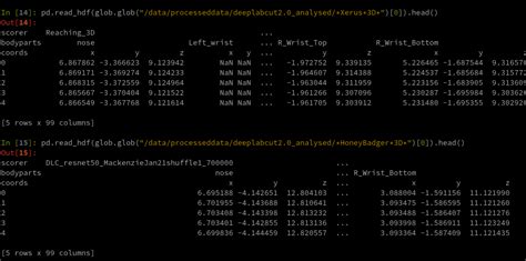 V2211 3d Scorer Name Is Written Incorrectly Into The Resulting 3dh5 File · Issue 1941