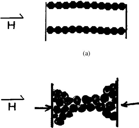 Formation Of The Robust Mr Microstructure During Compression Assisted