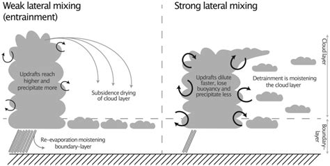 Illustration Of The Influence Of Shallow Convection Lateral Entrainment Download Scientific