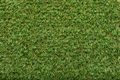 When To Weed And Feed Bermuda Grass