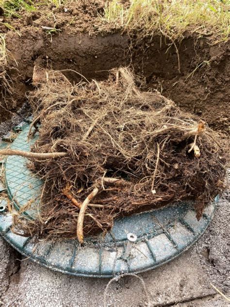 Septic System Evaluation Portland OR Hermiston OR