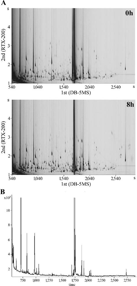 Two Dimensional Contour Plot For The Total Ion Chromatogram Signal Of Download Scientific