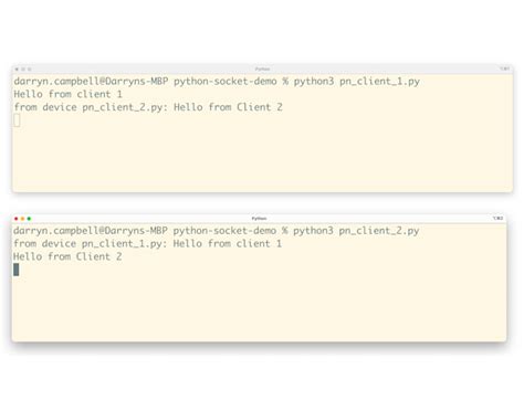Python Socket Programming Server Client Connection Pubnub