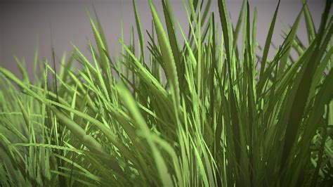 Grass 02 Download Free 3d Model By Polyscan Polyscan3d [539d1c1] Sketchfab