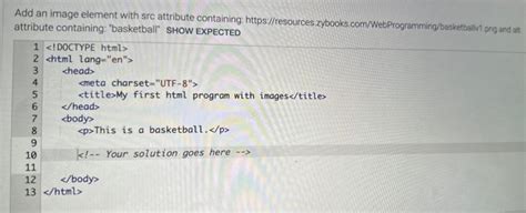 Solved Add An Image Element With Src Attribute Containing