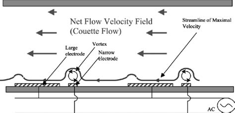 Schematic Demonstrating The Directional Electroosmotic Flow Generated