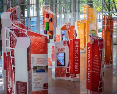 New Method Improves Accuracy Of Dna Sequencing 1000 Fold To Detect Rare Genetic Mutations