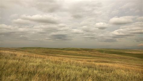 Abiotic Characteristics For Temperate Grasslands Sciencing