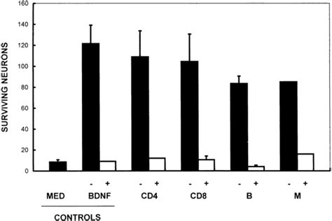 Bioactivity Of Immune Cellderived Bdnf Chicken Nodose Ganglia Neurons