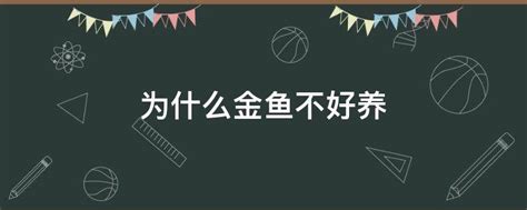 为什么金鱼不好养 业百科
