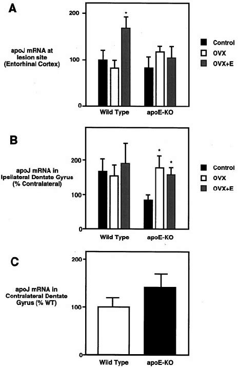 Apoj Mrna Levels Show E 2 Dependent Effects In Wild Type But Not Download Scientific Diagram