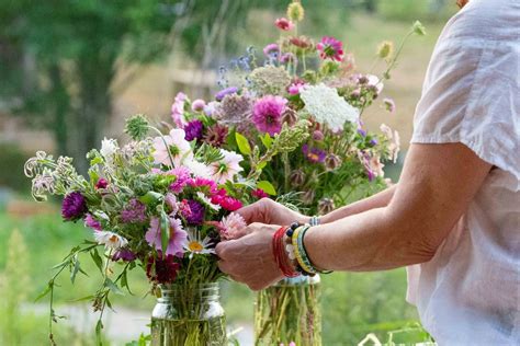 Farm Fresh Flowers Lands Sake