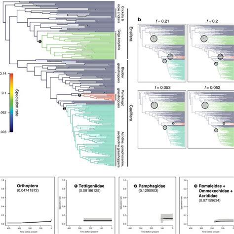 Models Of Trait Dependent Diversification Character Reconstruction Of Download Scientific