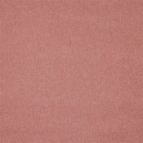 Prestigious Textiles Buxton Rose