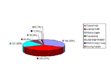 RNA Tertiary Structure Additional Motifs Of Tertiary Structure