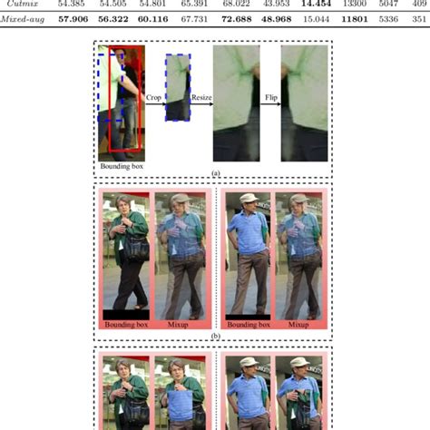 Examples Of Box Level Data Augmentation For Ease Of Understanding We Download Scientific