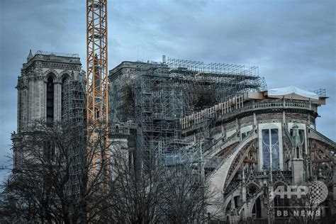 ノートルダム大聖堂の屋根は木材で再建するべき、仏建築家団体 写真1枚 国際ニュース：afpbb News