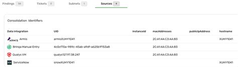 Data Consolidation · Brinqa Documentation