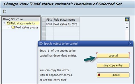 sap fi field status variant and field status group