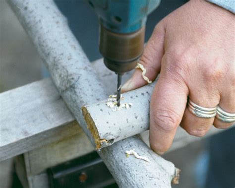 Build A Rustic Trellis Fine Gardening