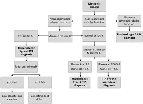 Renal Tubular Acidosis Types Causes Symptoms Diagnosis And Treatment Renal Tubular Acidosis Types Causes Symptoms Diagnosis And Treatment