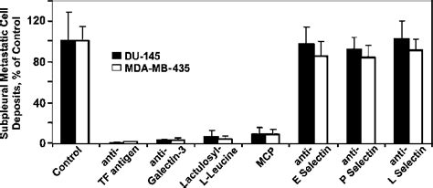 The Effect Of Various Function Blocking Monoclonal Antibodies And Download Scientific Diagram