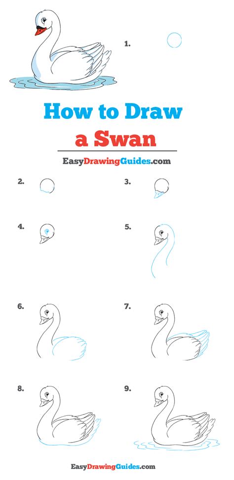 How To Draw A Swan Really Easy Drawing Tutorial