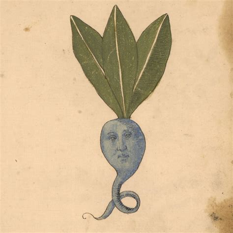 Why Is Medieval Art So Weird This New Book Offers A Guide To The Era Cnn