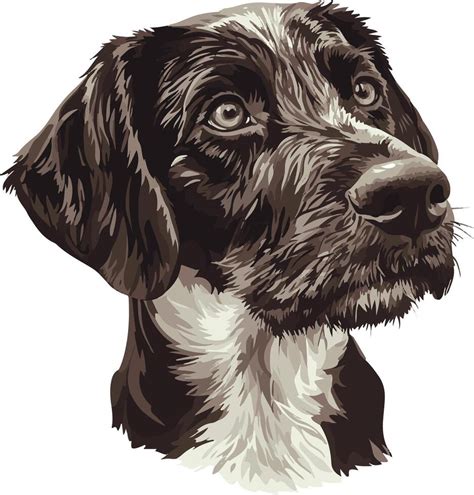 Adorable Cute Simple German Wirehaired Pointer Clipart 52238910 Vector