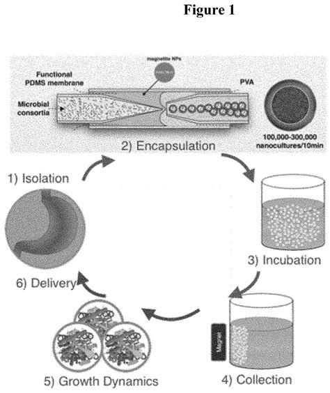 Microcapsules And Methods Of Using The Same Eureka Patsnap