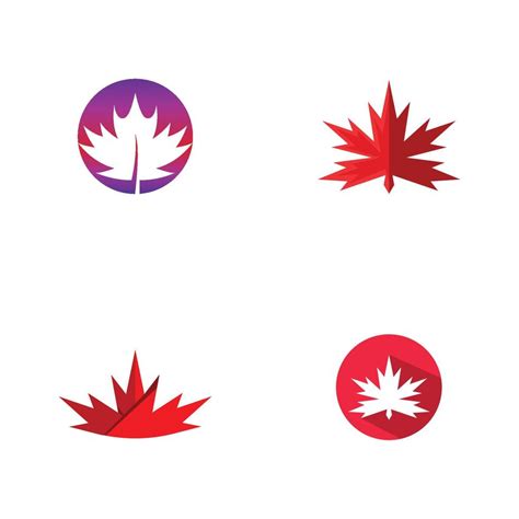 Maple Leaf Vector Illustration 9966076 Vector Art At Vecteezy