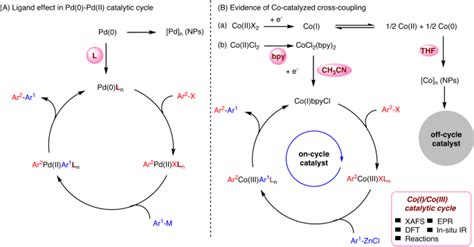 Valve Turning Towards On Cycle In Cobalt Catalyzed Negishi Type Cross