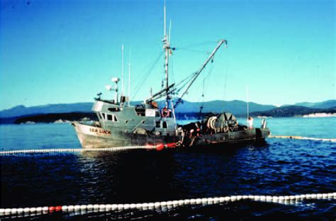 The Coded Wire Tag CWT Program Permits The Identification Of Download Scientific Diagram