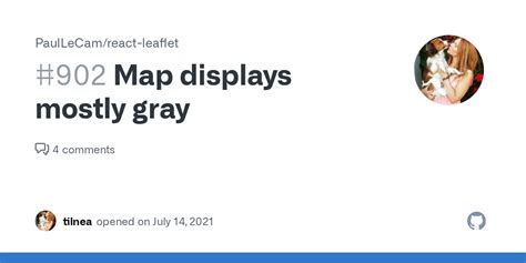 Map Displays Mostly Gray · Issue 902 · Paullecam React Leaflet · Github