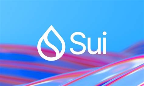 Sui Network The Solana Of This Cycle And Why Base And Sui Will Dominate The Bull Run In 2025