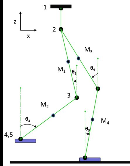 Sagittal View Of 10 Dof Of Biped Robot Download Scientific Diagram