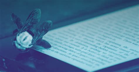 Debugging Ethereum Smart Contracts Made Easier With Buidler Evm