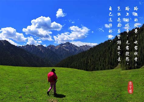 自己选的路 自己选的路跪着也要图 第6页 大山谷图库